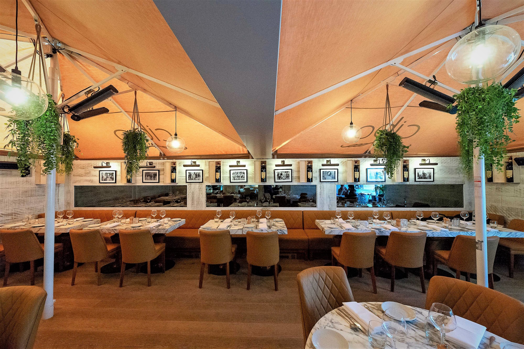 Cibo, Hale - Loca Shading Designs